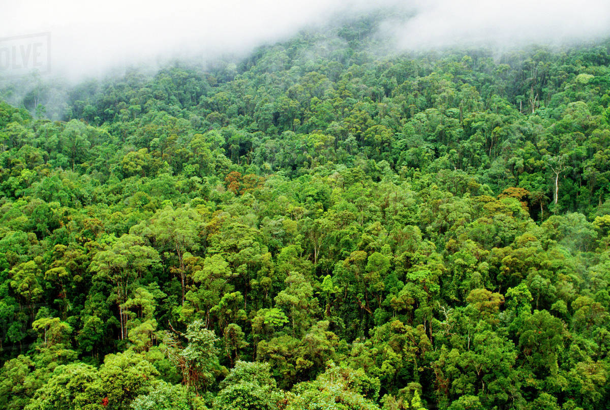 Travel by train and bus made easy | Dream Destination